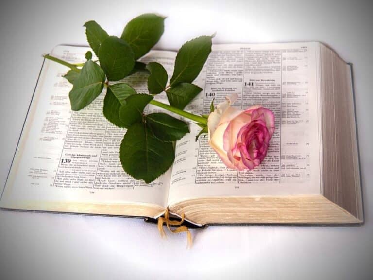 Qual o Significado da Rosa de Sarom na Bíblia? - Canal Fé Forte